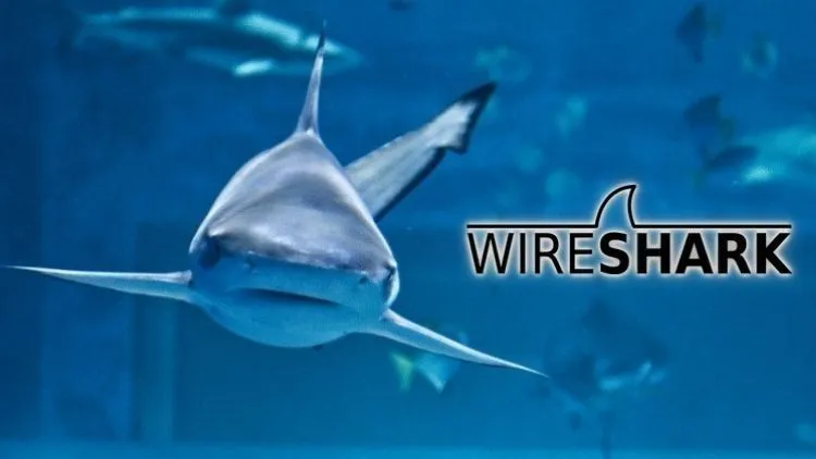 What is Wireshark & How to Use It for Network Analysis