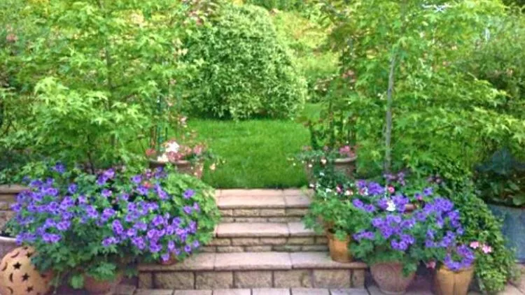 How to Study for Exams: A Guide to Move Up Your Grades