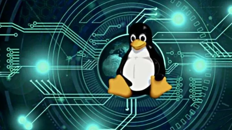 Linux System Administration: What is It and How to Start