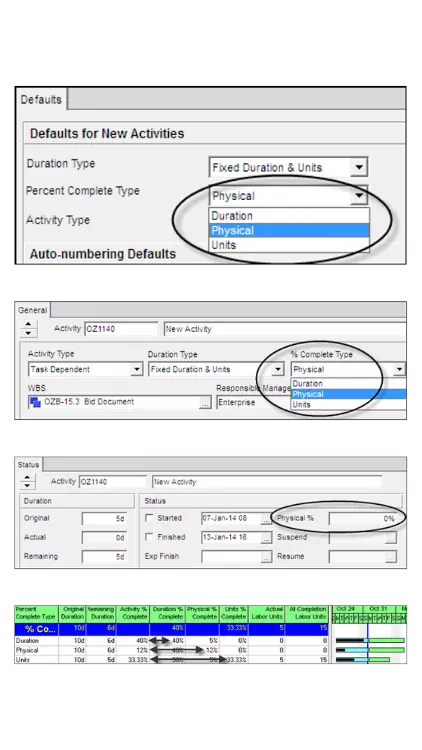 Understanding Oracle Primavera P6 Percent Complete Type