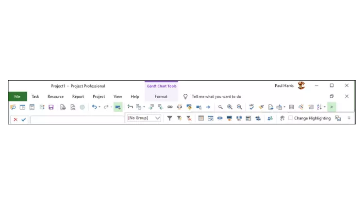 Microsoft Project Ribbon and Quick Access Toolbars