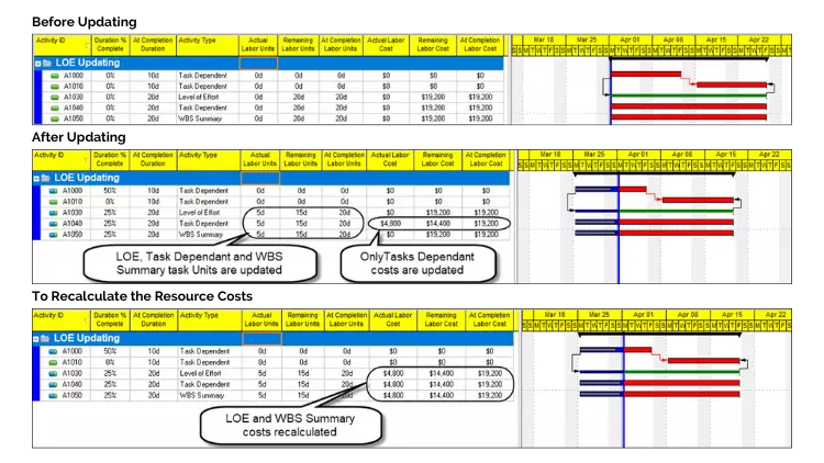 Resource Cost Calculation for Oracle Primavera P6 LOE and WBS Summary Tasks