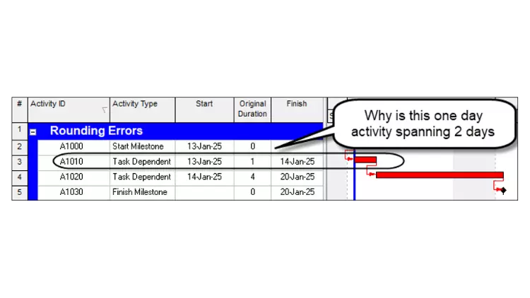 Identify and Understand the Reasons for P6 Rounding Errors