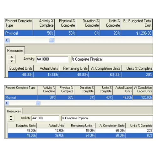 Understanding Oracle Primavera P6 Percent Complete Type