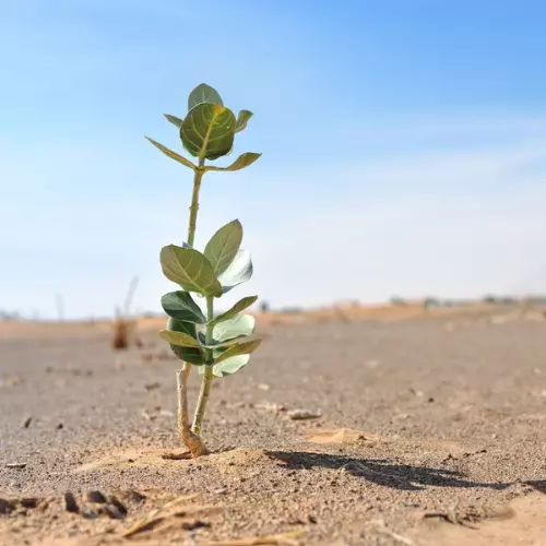 7 Basic Accounting Principles to Enhance Your Life, Business or Career