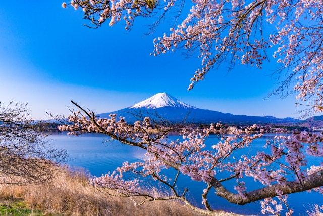 Chubu: A Look at the Region’s Attractions, Famous Food, and Weather ...